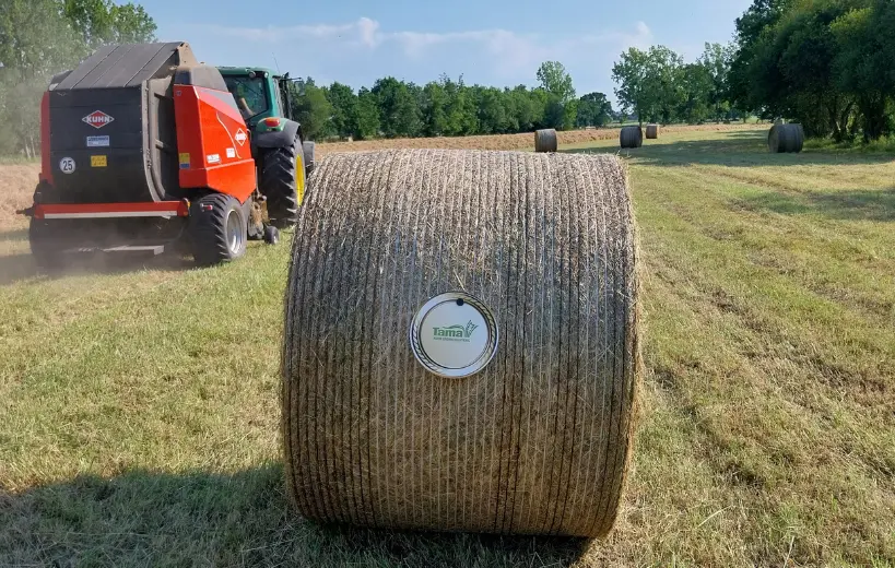 Faites briller vos récoltes avec les Médailles d’Or Tama France ...